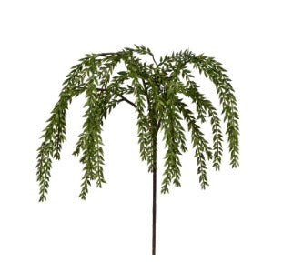 HG SENECIA – Choices & More LLC